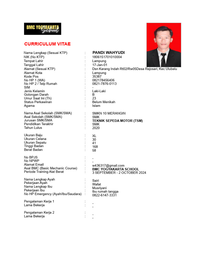 CV Pandi Wahyudi | PDF