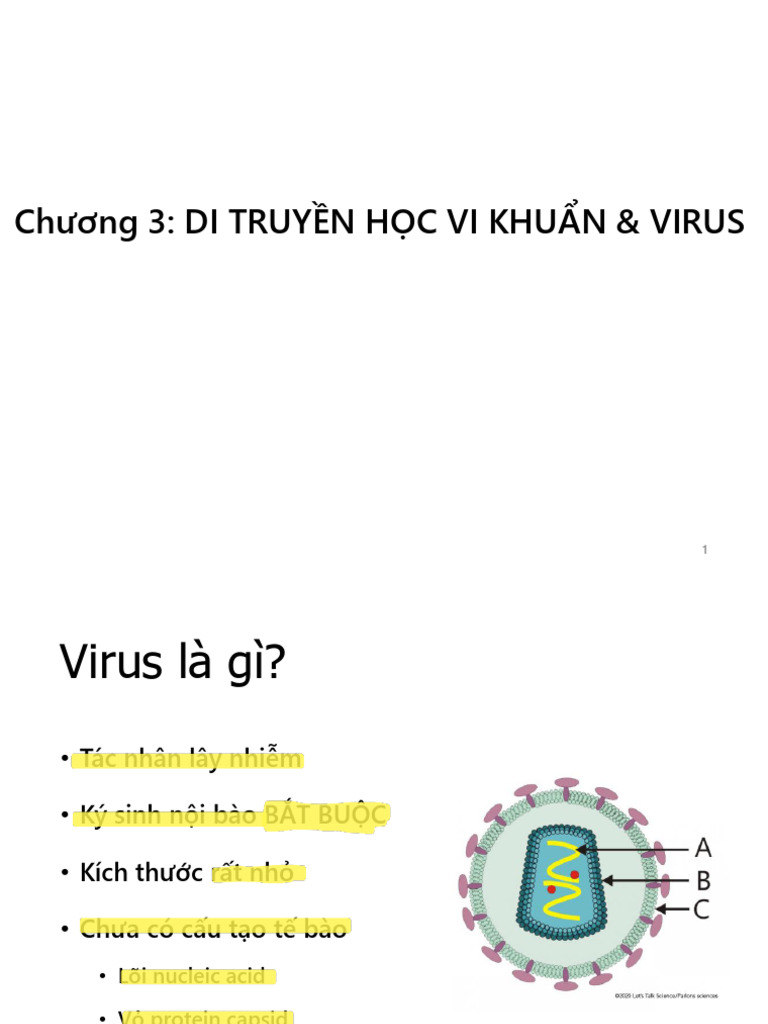 DTH SHPT 2023 Chuong 3 - 241104 - 092318 | PDF