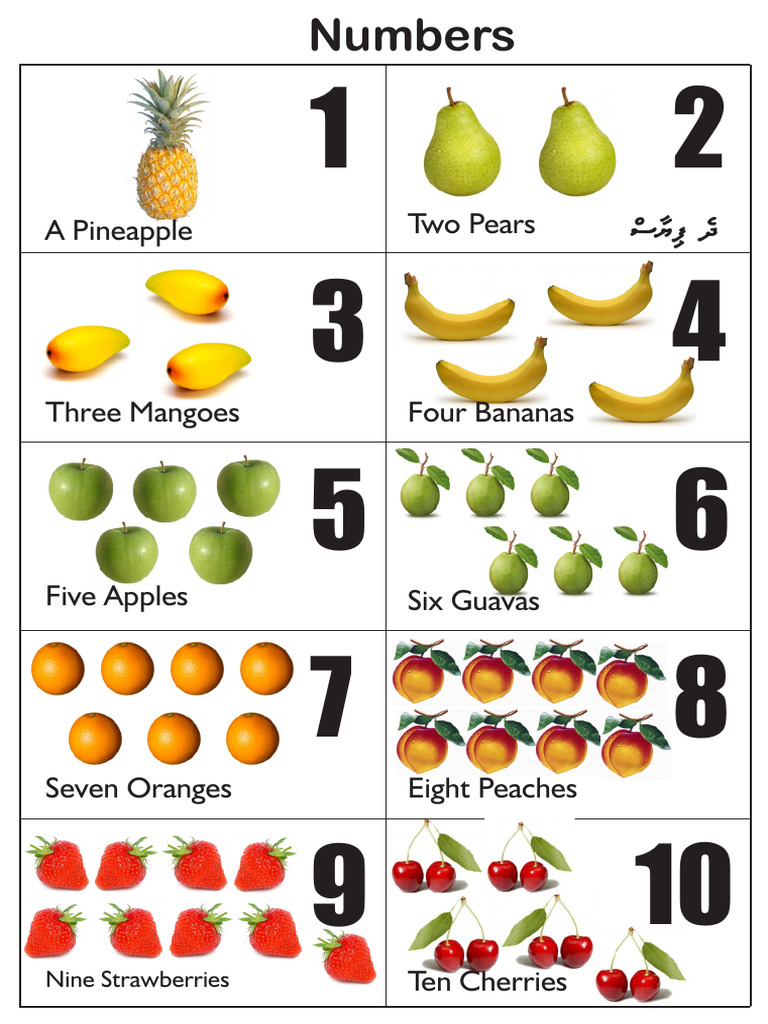 Counting 1-10 With Fruit Pictures | PDF