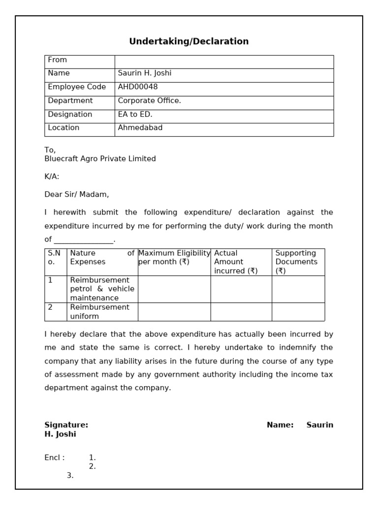 Undertaking Reimbursement 2024 | PDF