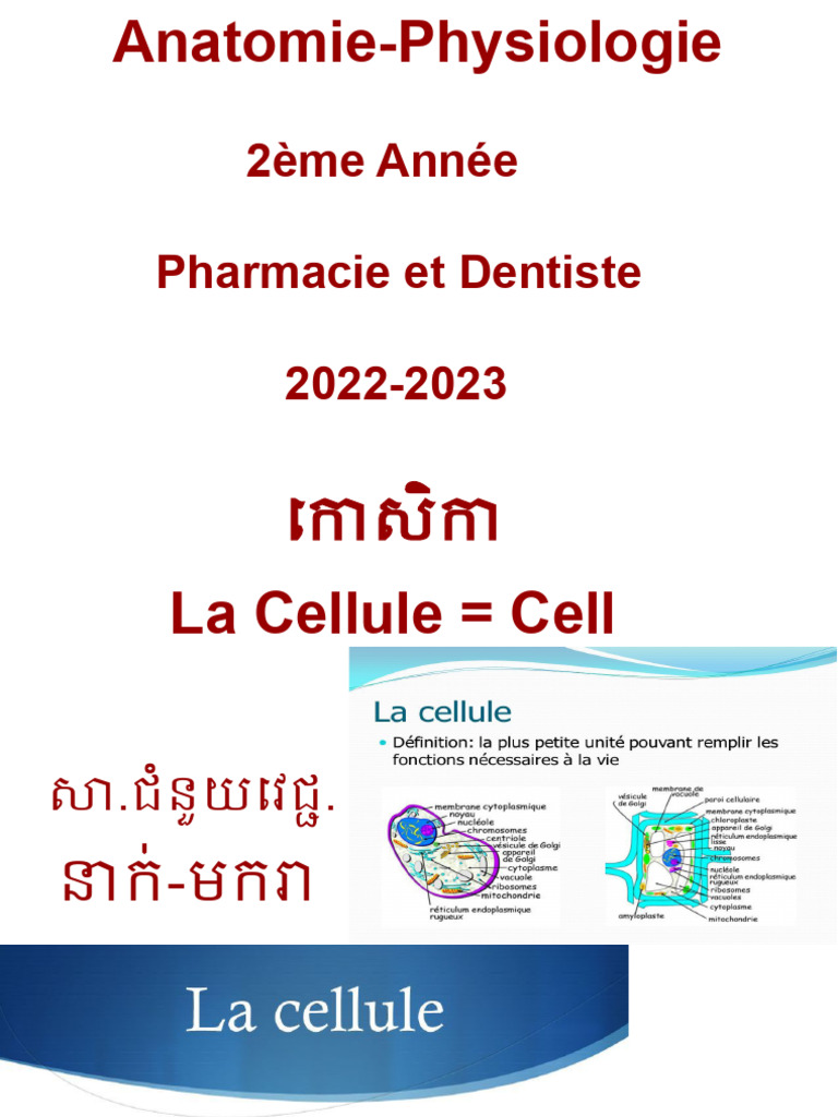 Anatomie-Physiogie de La Cellule | PDF