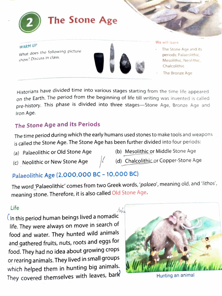 Stone Age Important Topic | PDF | Stone Age | Neolithic