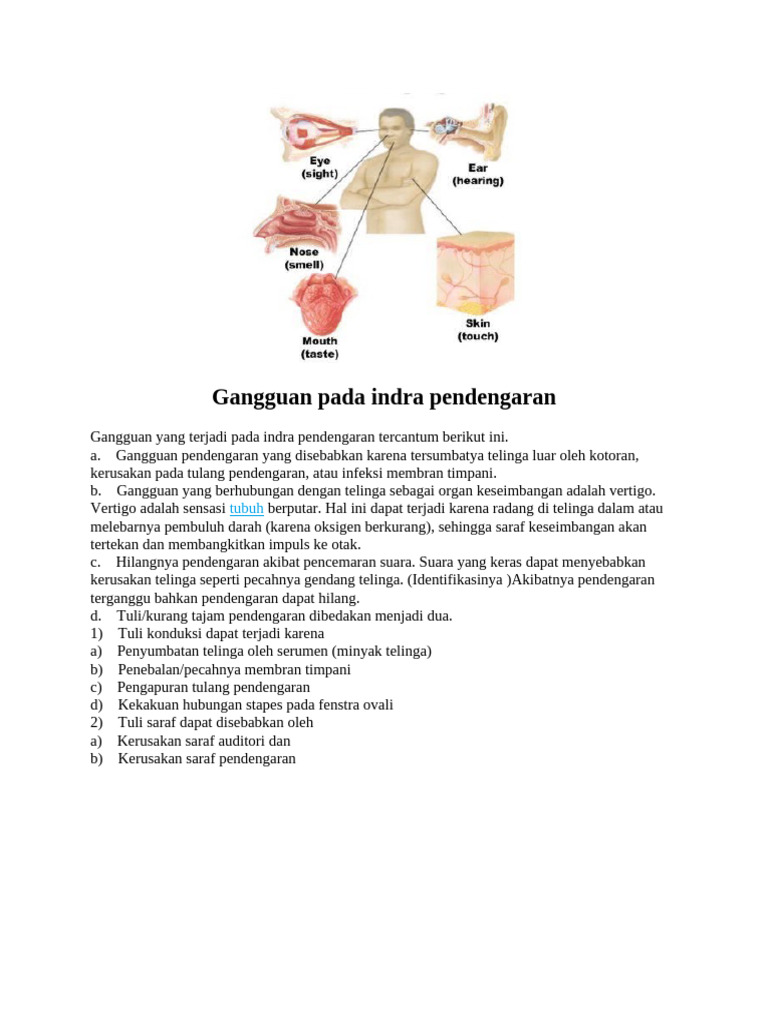 Gangguan Pada Indera Pendengaran | PDF