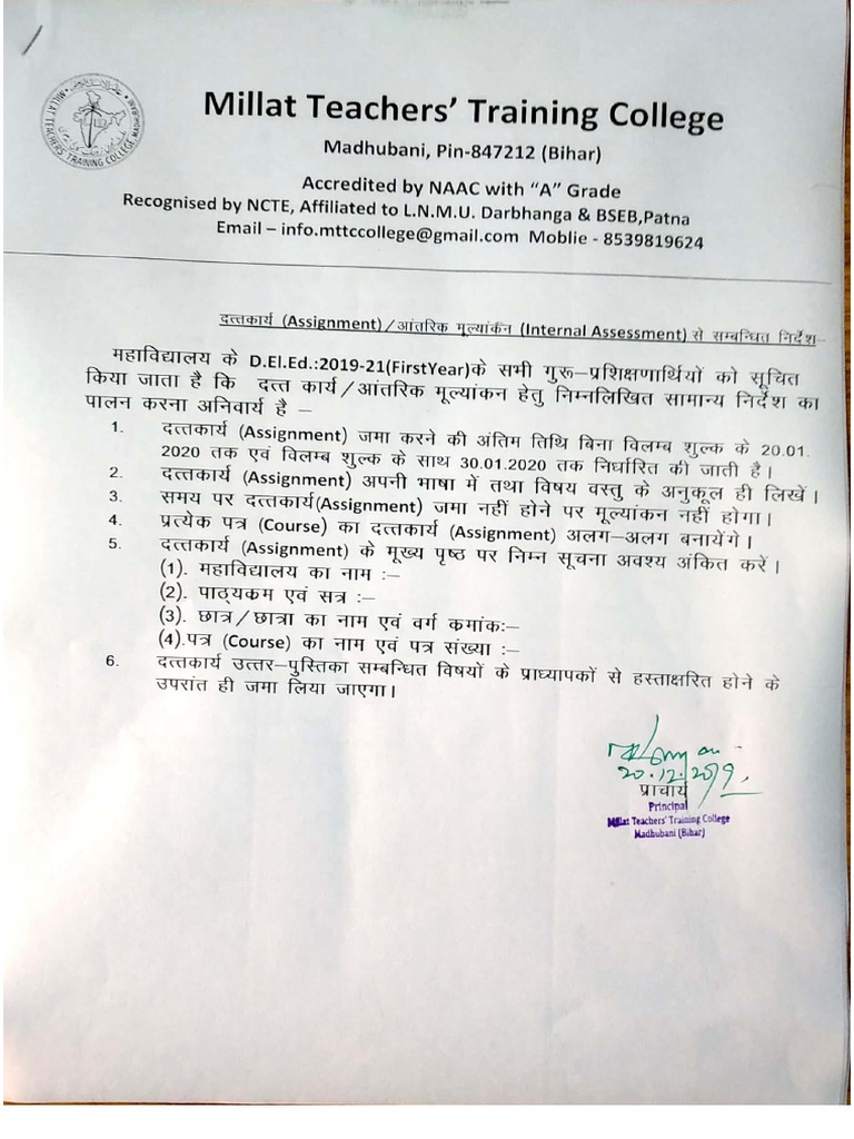 D.el - Ed. 2019-21 (First Year) Assignment | PDF