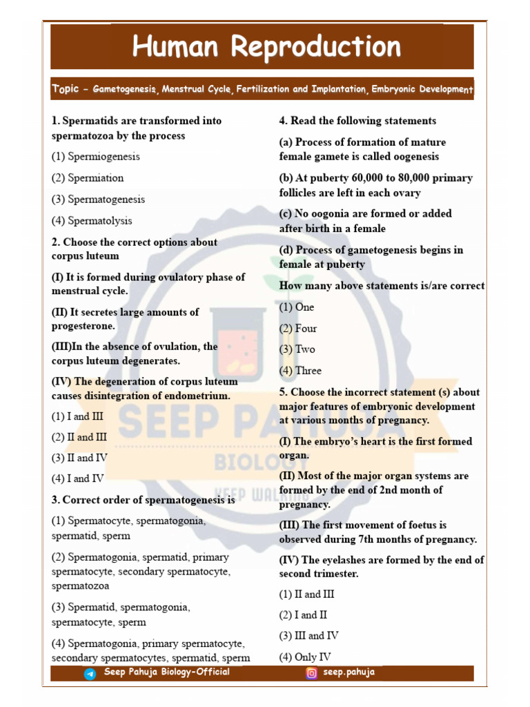 Human Reproduction DPP-2 | PDF | Menstrual Cycle | Endocrine System
