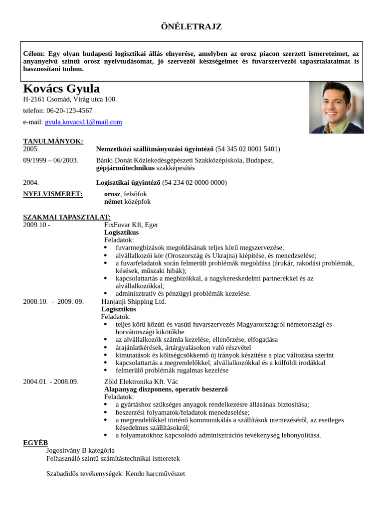 Gyakorlattal Logisztikus CV | PDF
