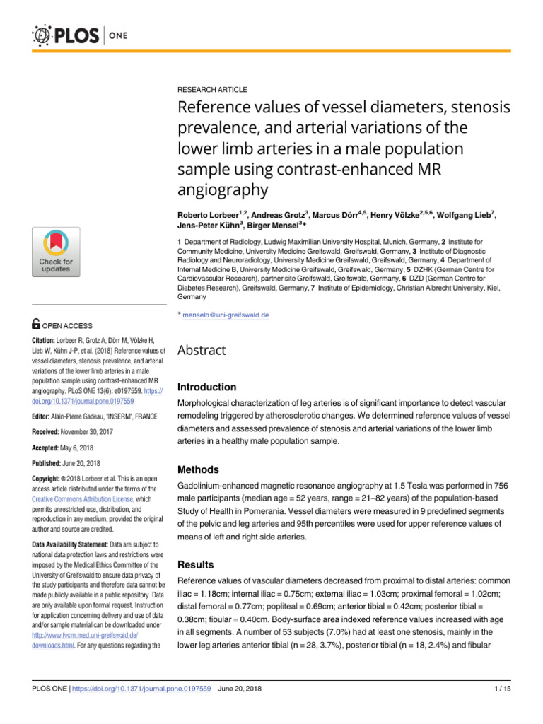 lorbeer2018-arterysizes | PDF | Angiography | Angiology