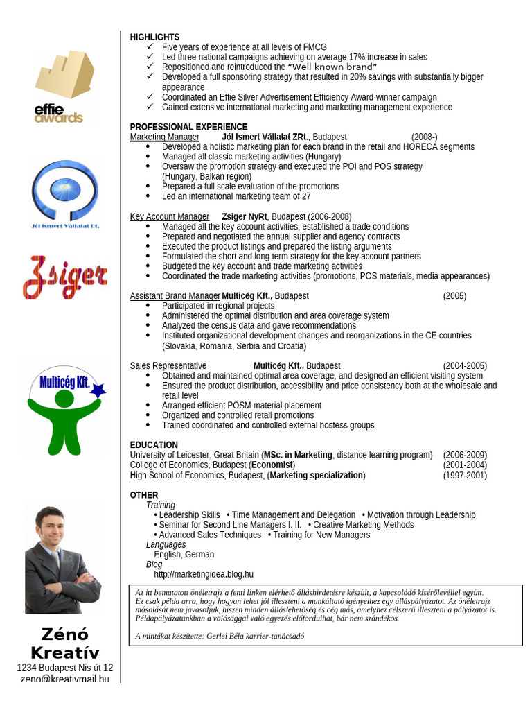gyakorlattal_rendelkezo_teruleti_kepviselo_angol_cv | PDF | Marketing ...