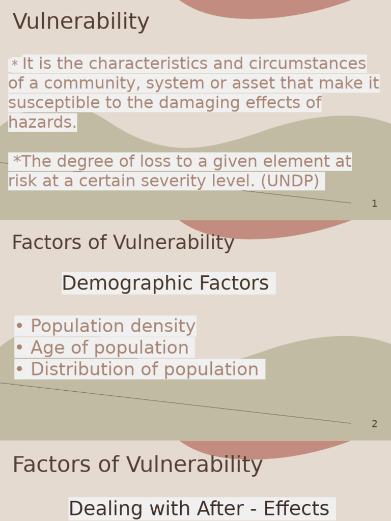 Vulnerability (1) | PDF | Vulnerability | Emergency Management