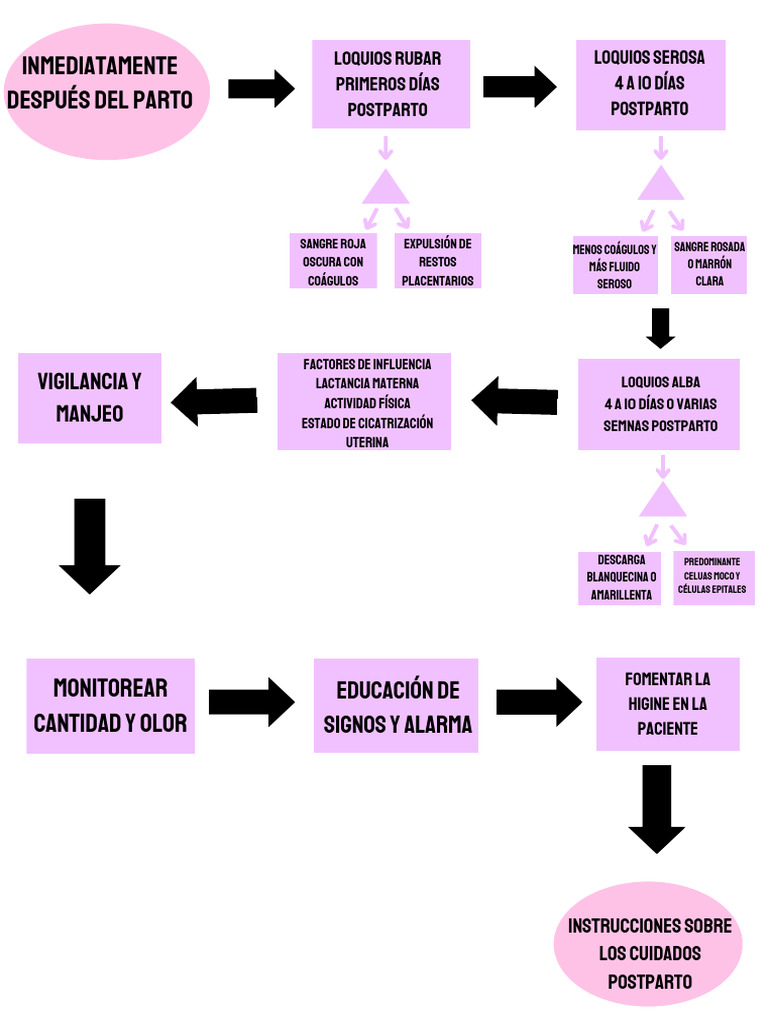 Loquios postparto: tipos y cuidados | PDF