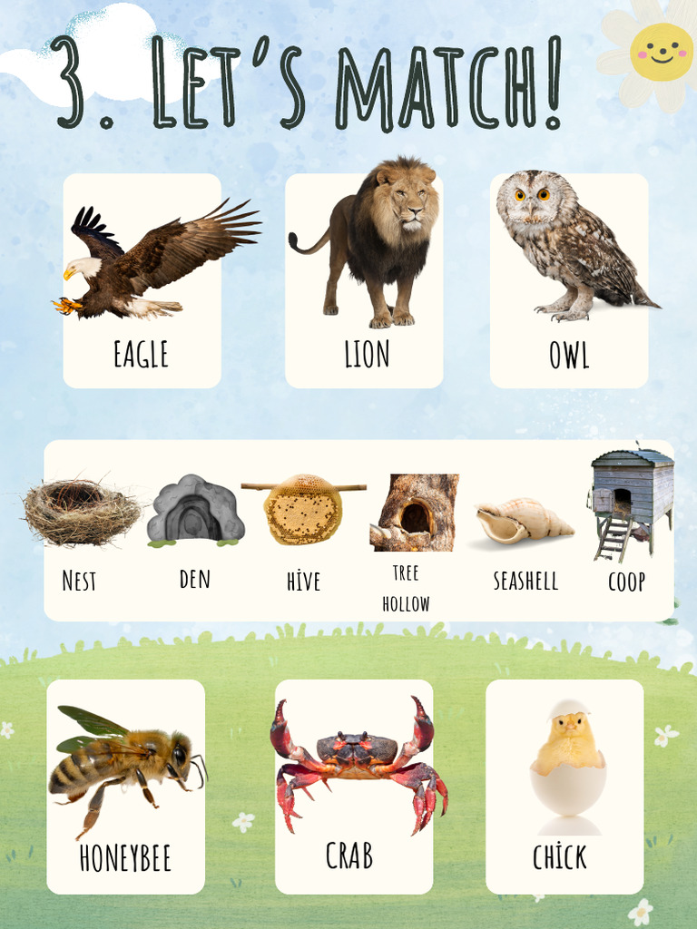 Animal's Home Worksheet 1-3 | PDF