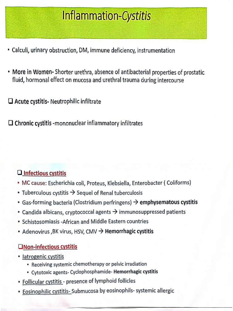 Cystitis | PDF | Urinary Tract Infection | Medical Specialties