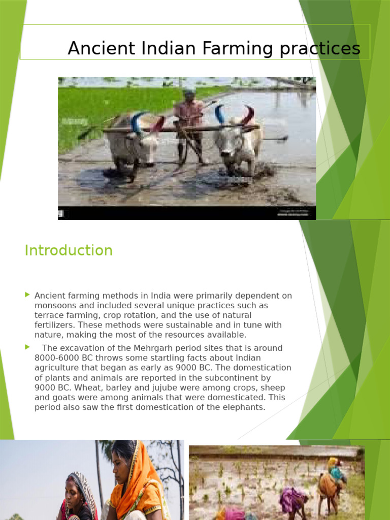 Ancient Indian Farming Practices | PDF | Agriculture | Food Industry