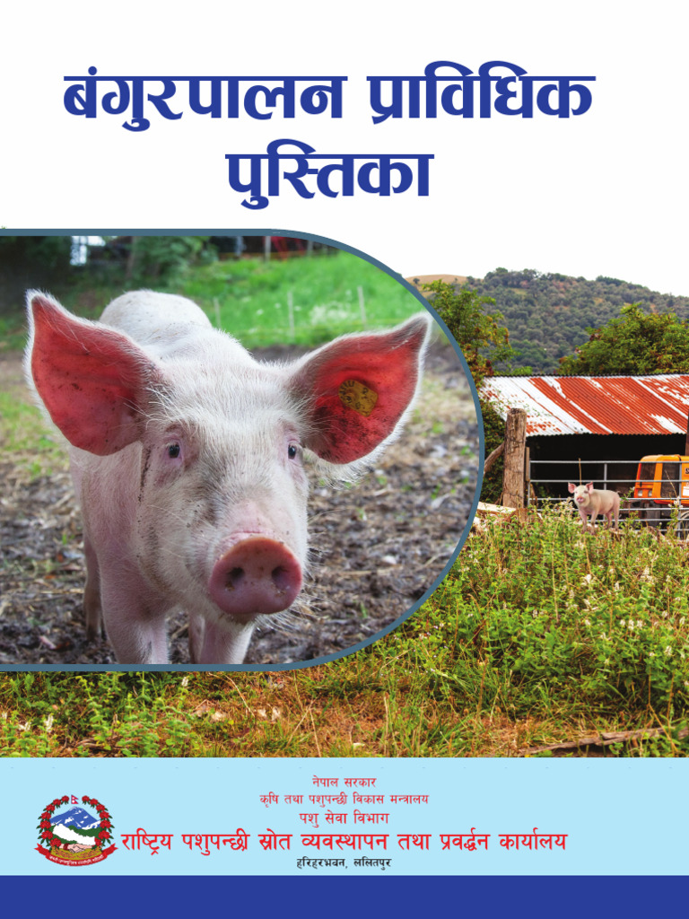 Pig Book 2080 081 1711245960 | PDF
