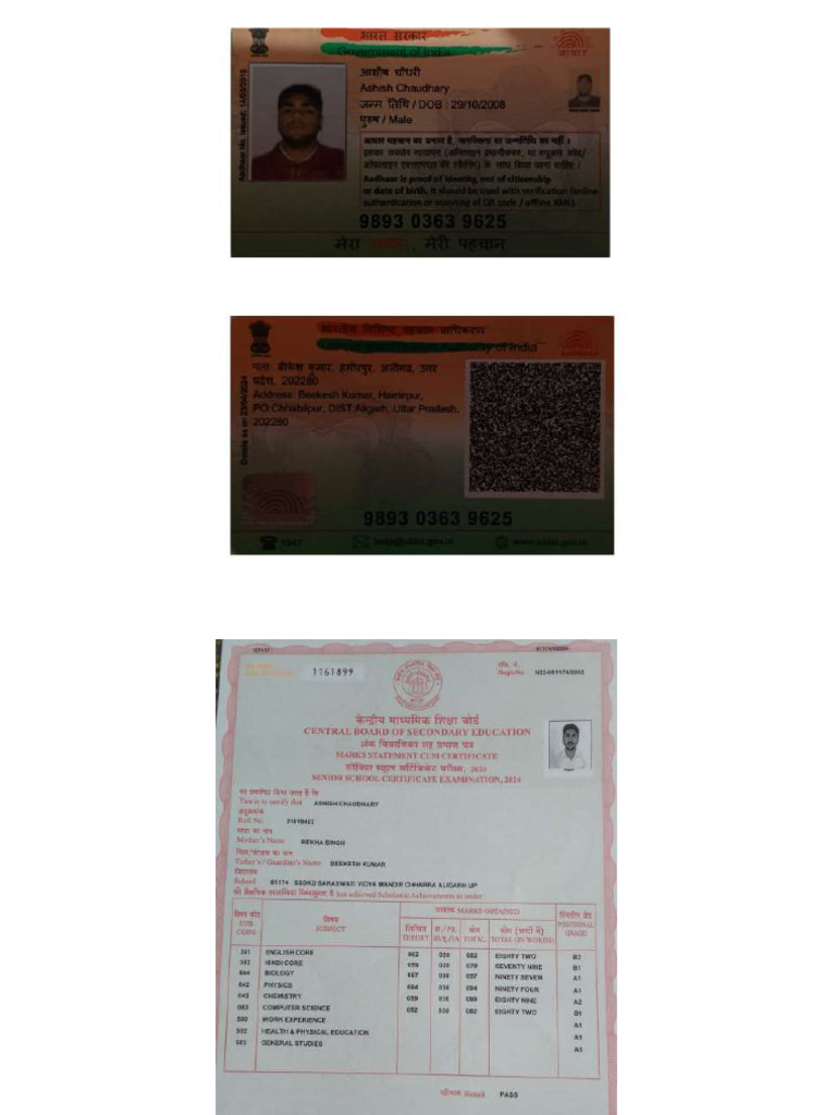 Presentation 1 | PDF