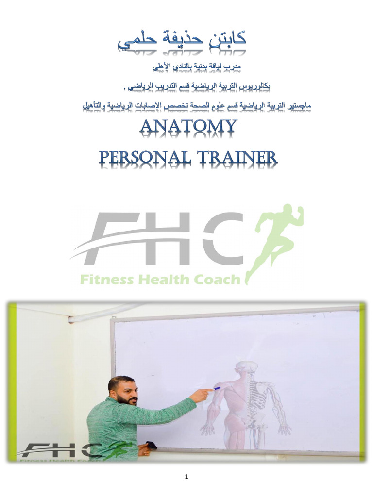 Anatomy .c. Hozaifa | PDF