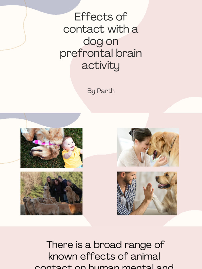 Effects of Contact With A Dog On Prefrontal Brain Activity PDF | PDF ...
