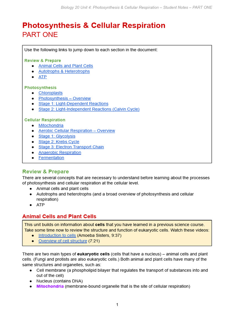 U4 Photosynthesis & Cellular Respiration Student Notes PART ONE | PDF ...