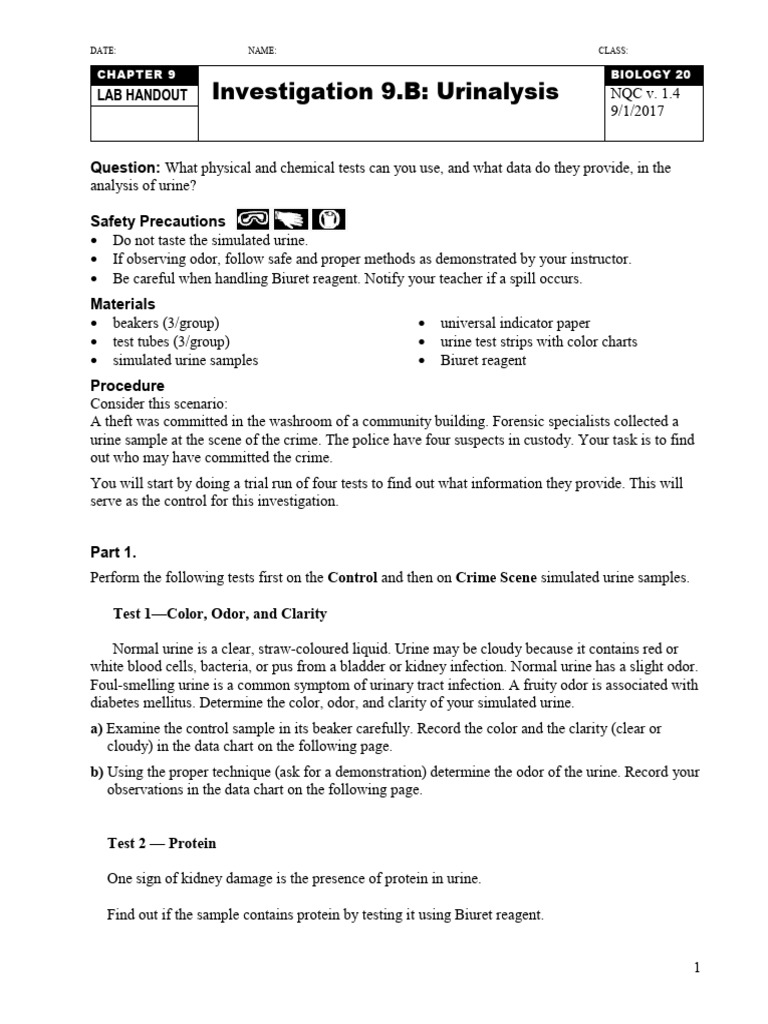 Urinalysis Lab Investigation Guide | PDF | Urine | Clinical Medicine