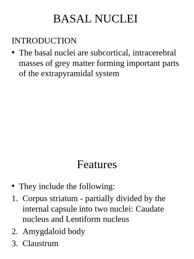 Basal Nuclei | PDF | Striatum | Basal Ganglia