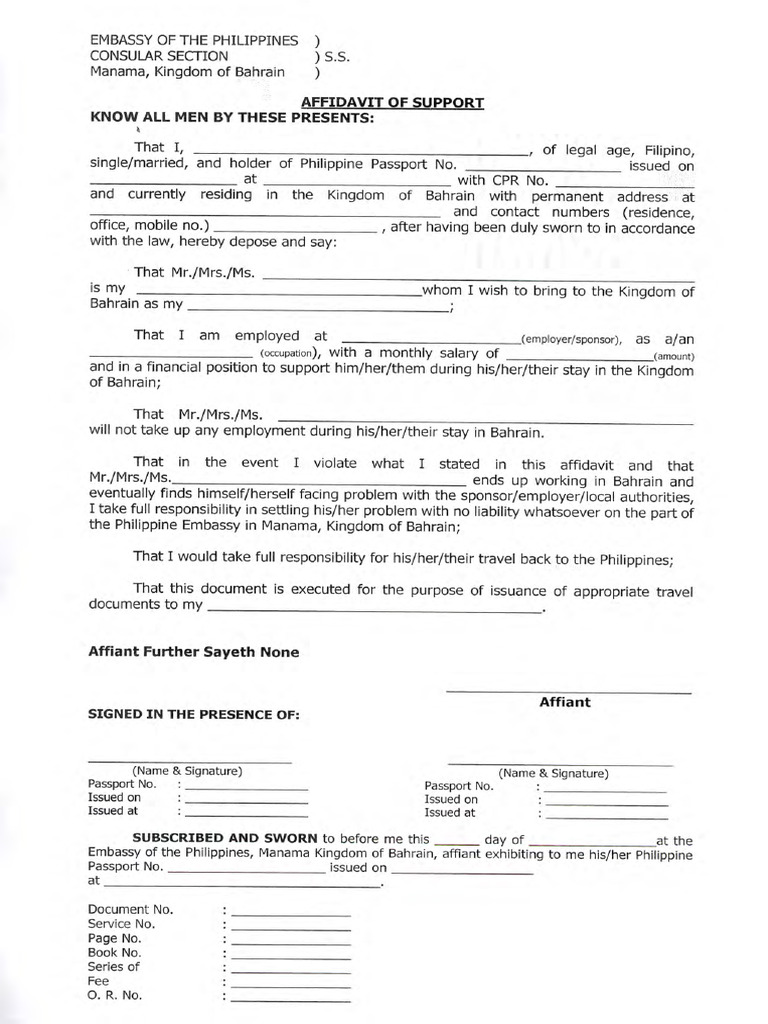 Affidavit of Support | PDF