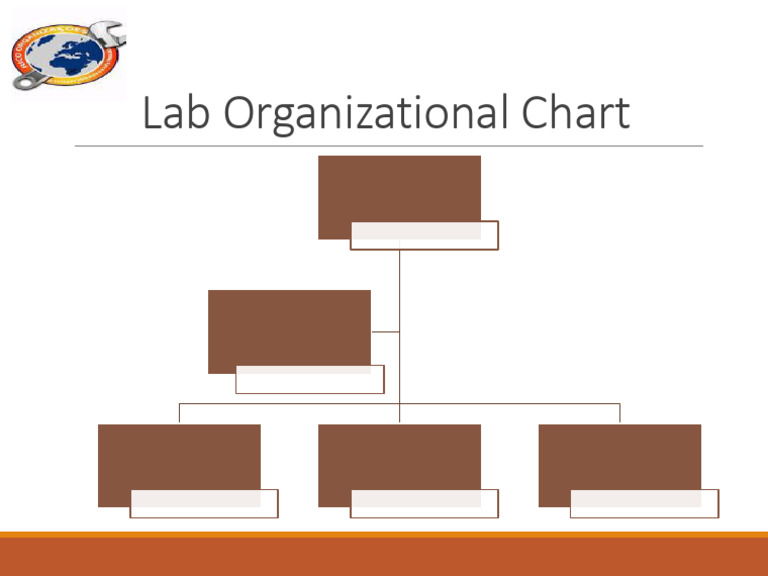 Lab Organizational Chart 1 | PDF