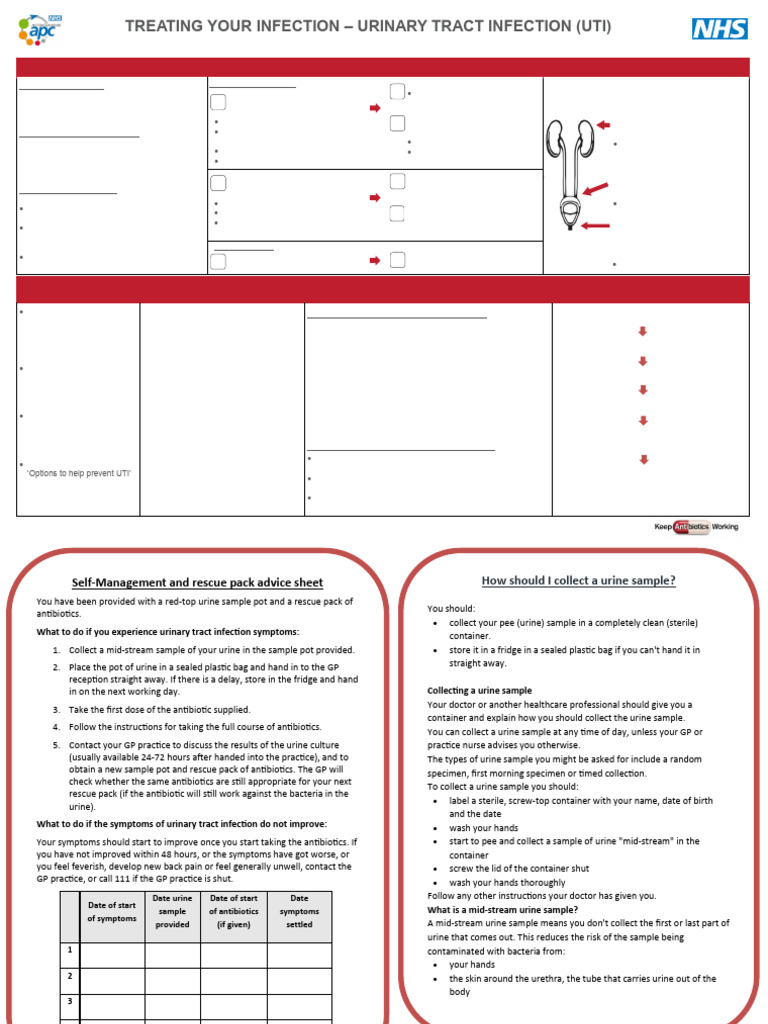 uti-patient-information | PDF | Urinary Tract Infection | Medical ...