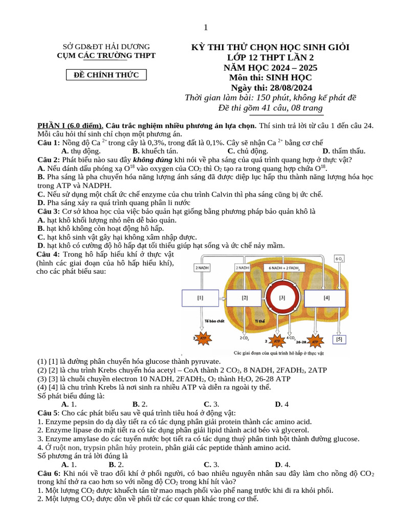 ĐÊ THI và HDC HSG CỤM SINH 12- LẦN 2 - nộp | PDF