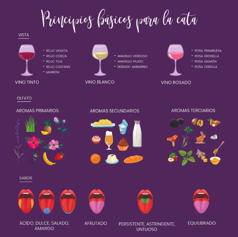Infografía - Principios básicos para la cata | PDF