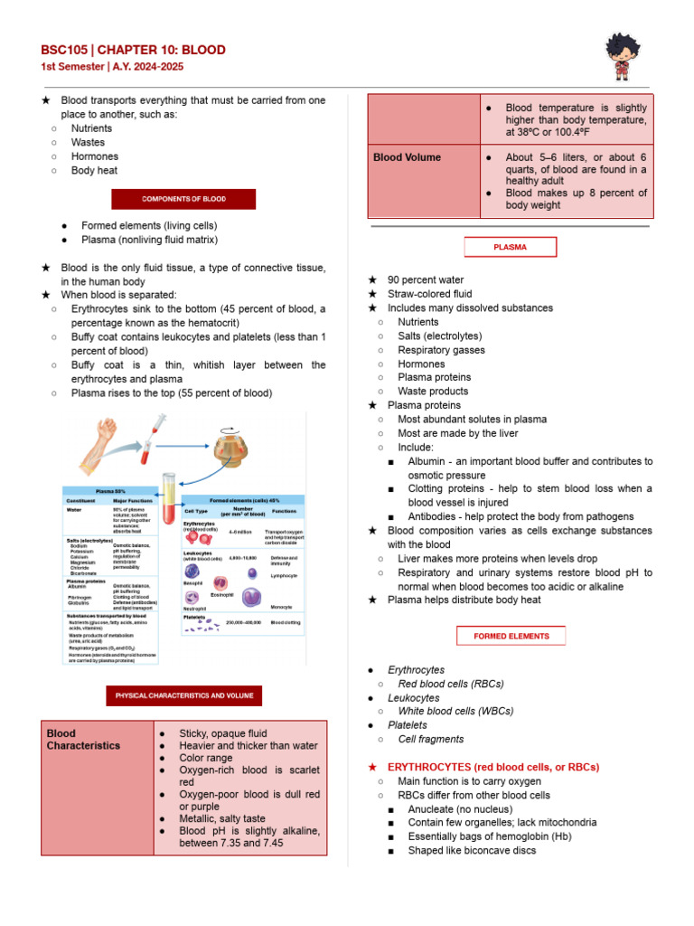 anaphy chapter 10 - blood | PDF | White Blood Cell | Blood Type