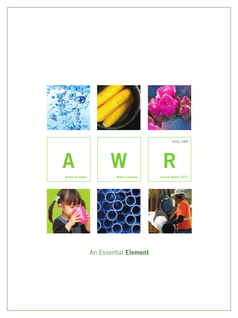 Nyse Awr 2017 | PDF | Form 10 K | Expense