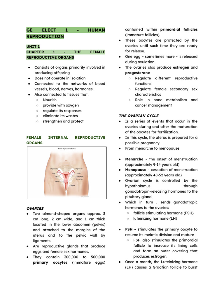 GE ELECT 1 - HUMAN REPRODUCTION | PDF | Menstrual Cycle | Ovary
