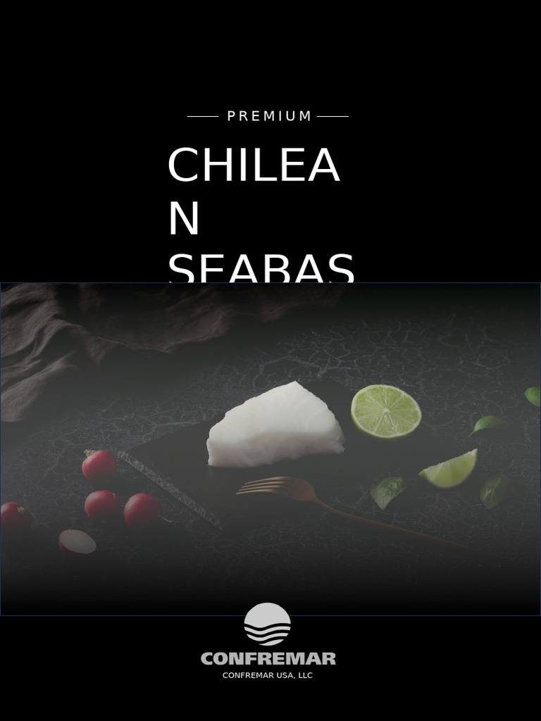 Boceto Catalogo Feria Boston | PDF