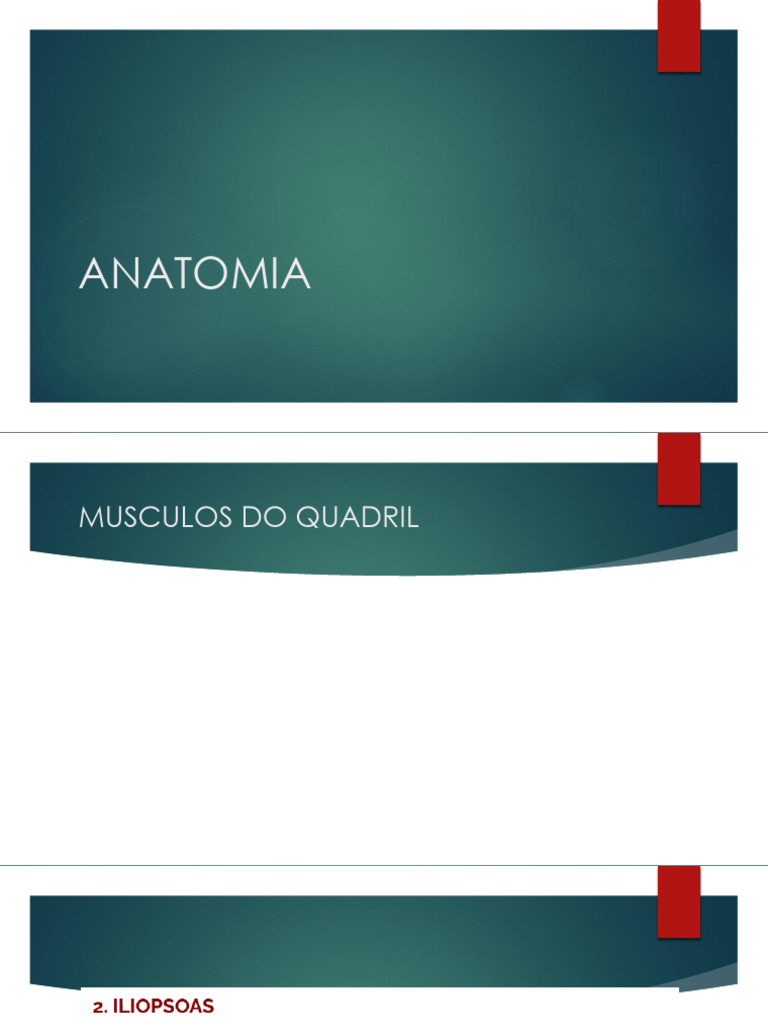 Musculos Quadril e Coxa | PDF