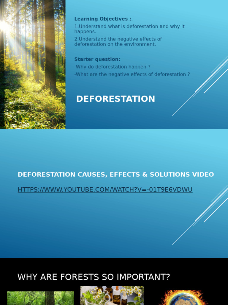 Deforestation | PDF