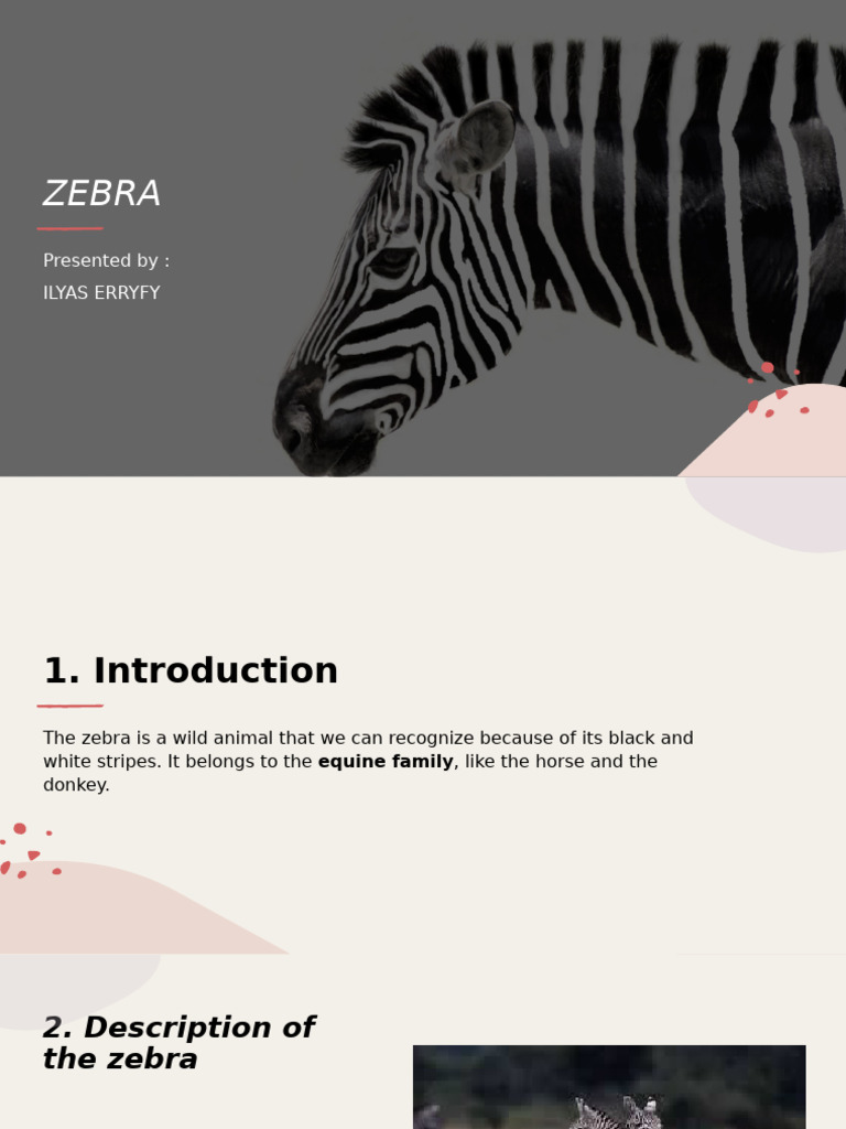 Zebra | PDF