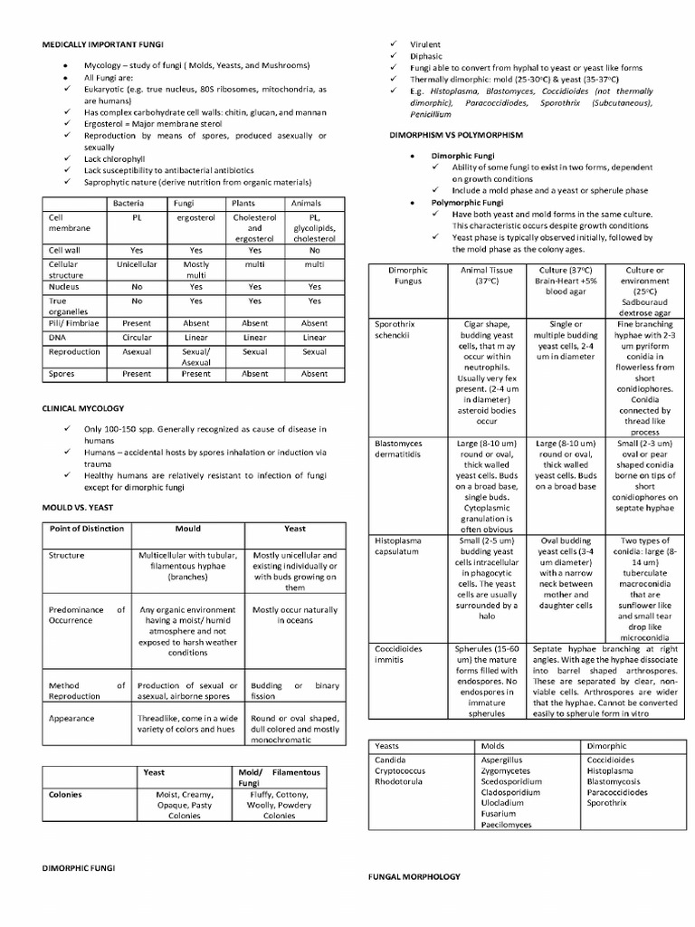 MycoViro-Lec-01 | PDF | Fungus | Yeast