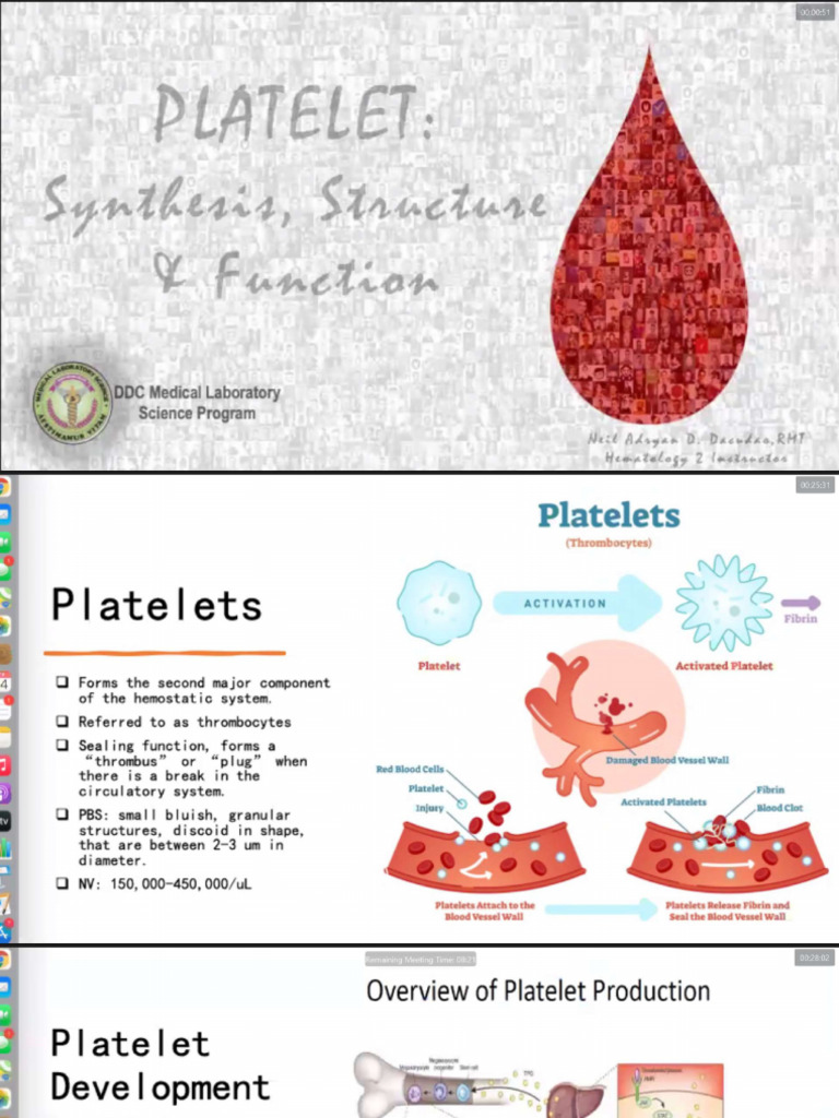 Platelet-and-Hemostasis-PPT-Screenshot | PDF | Coagulation | Platelet