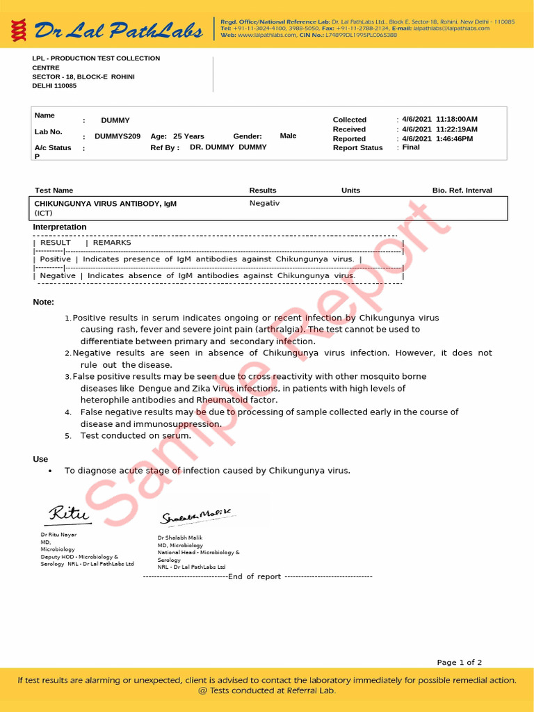 Report | PDF | Serology | Zika Fever