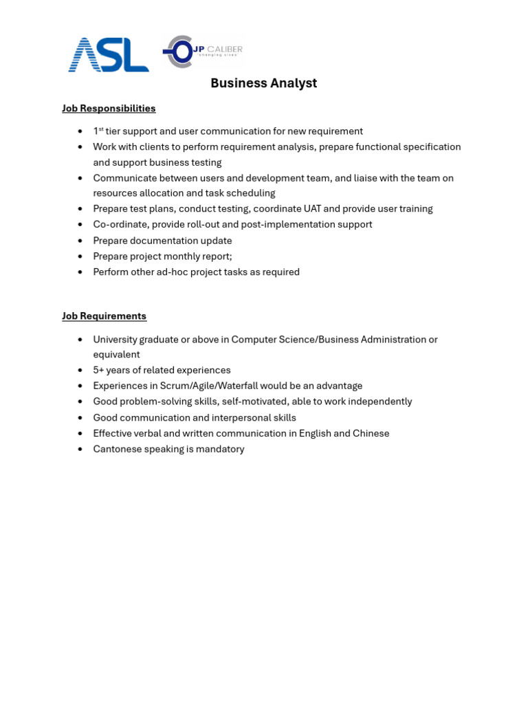 Business Analyst Job Description & Requirements | PDF