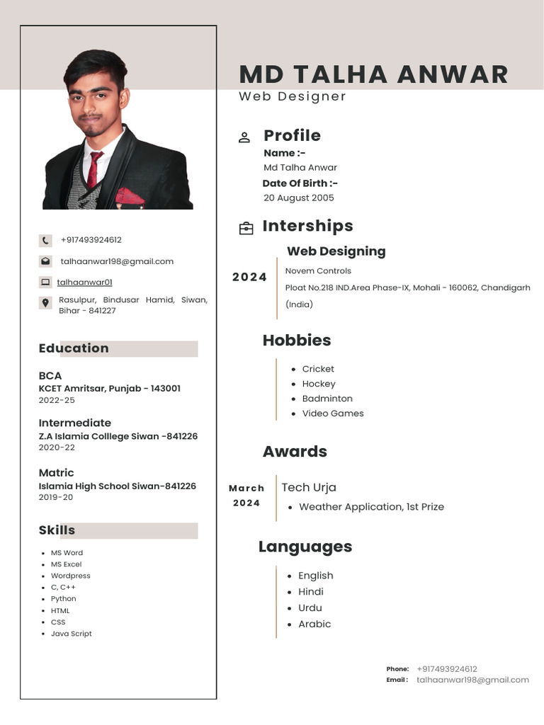 Talha Professional CV Resume | PDF