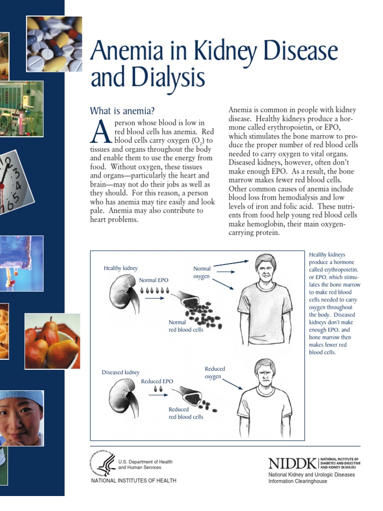 Anemia in Kidney Disease and Dialysis | PDF | Anemia | Chronic Kidney ...