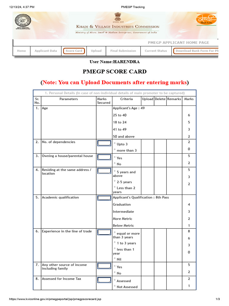 PMEGP Tracking | PDF