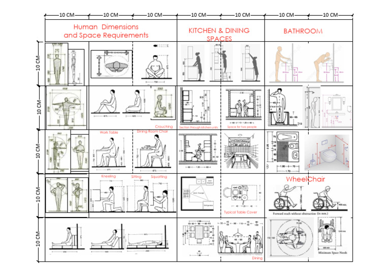 Anthropometry Sheet-1 | PDF