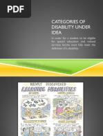 IDEA's 13 Disability Categories Explained | PDF | Autism | Disability