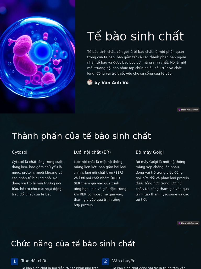 Te Bao Sinh Chat | PDF