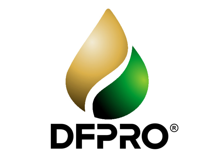 Logotipo DF Pro | PDF
