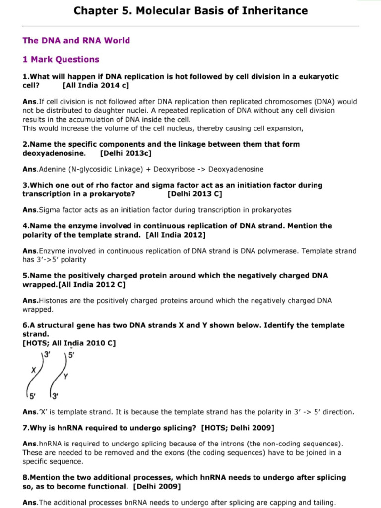 Molecular Basis of Inheritance | PDF
