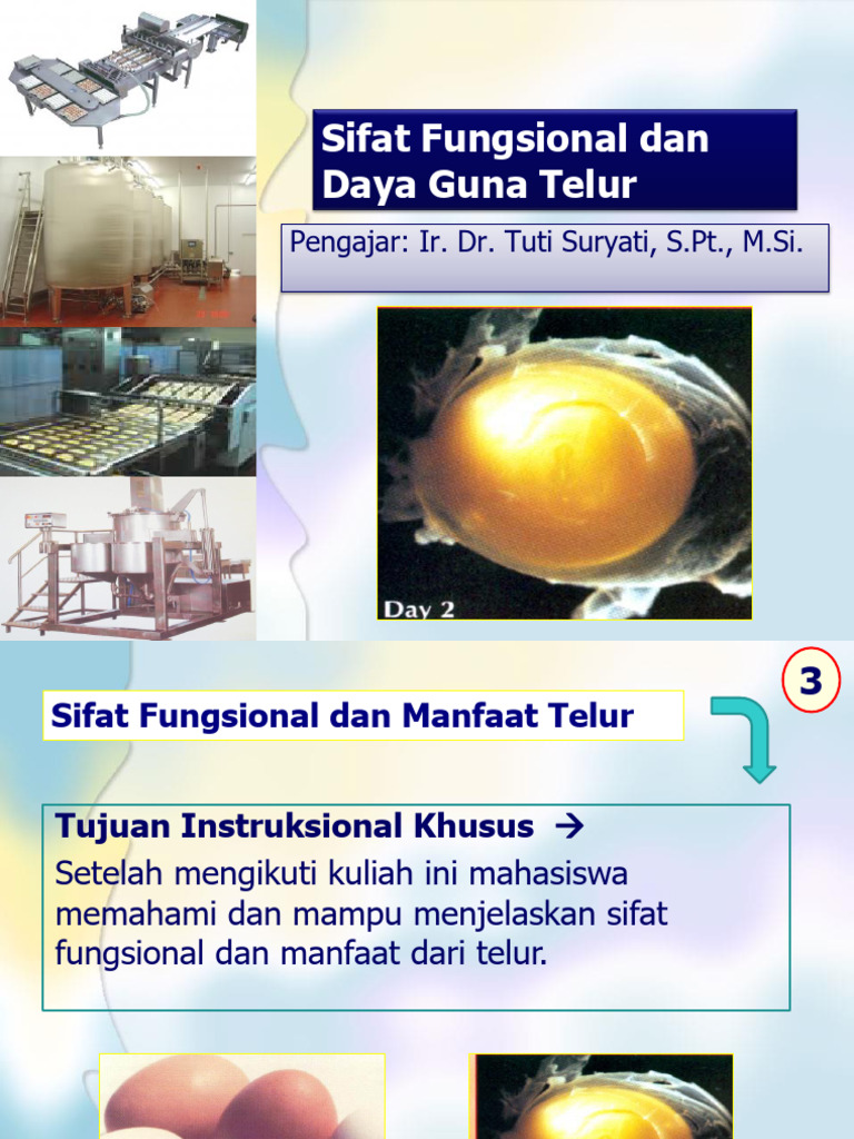 Sifat Fungsional Dan Daya Guna Telur - TSY (2) | PDF | Cakes | Baking