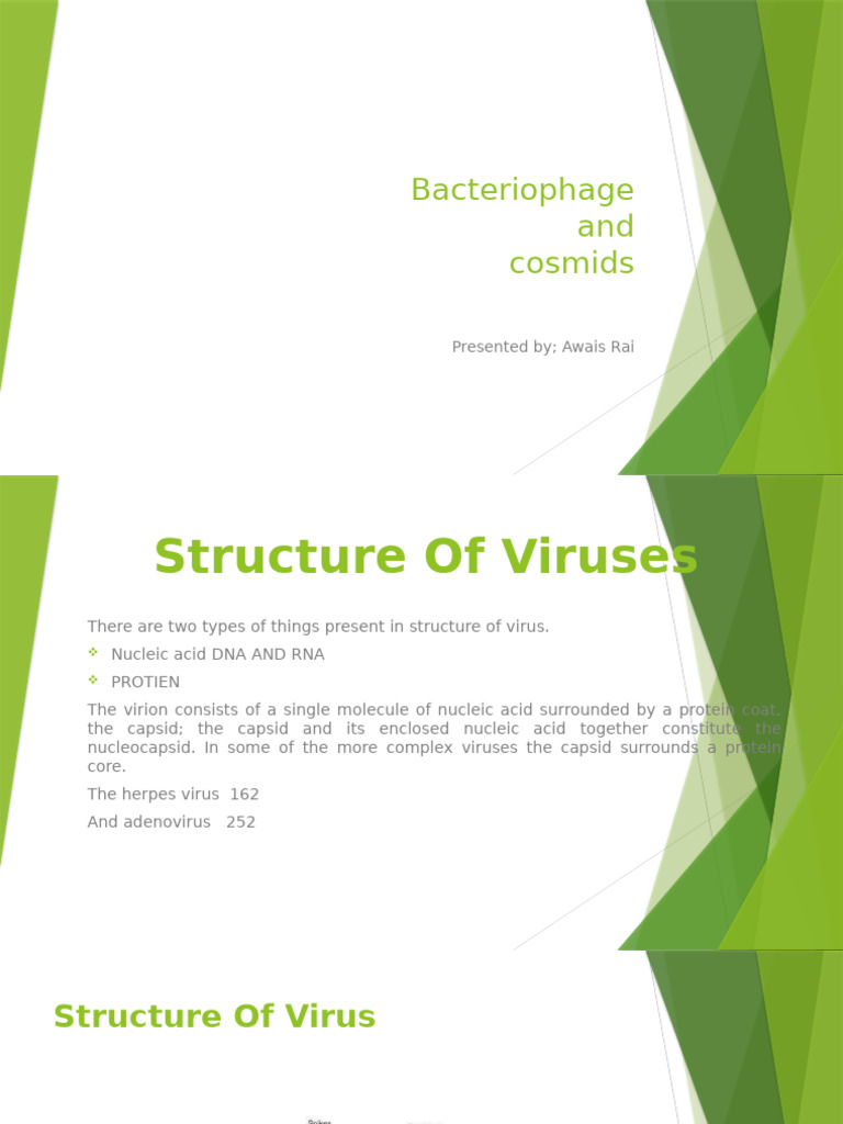 Bacteriophage - Copy | PDF | Bacteriophage | Virus